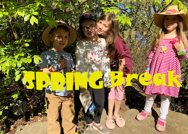 Winner, Winner, Chicken Dinner!