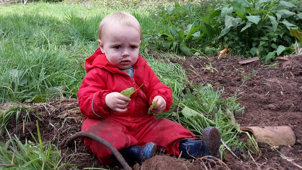 An English Homestead: Eating Mud