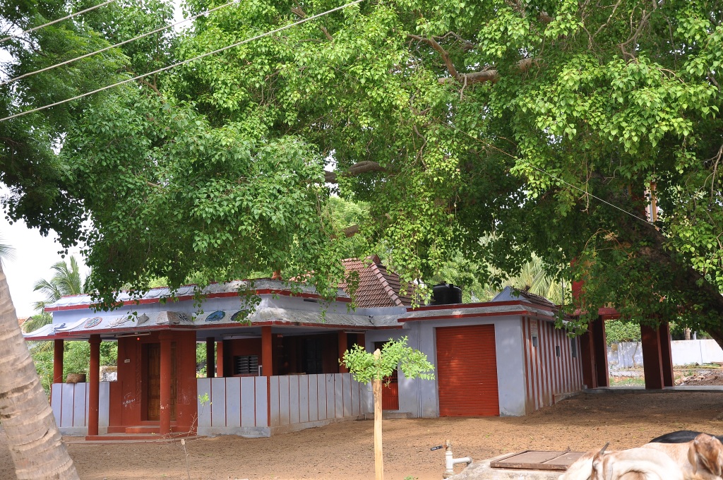 Tamilnadu Tourism: Ayya Vaikundar Temple, Anjugramam, Kanyakumari