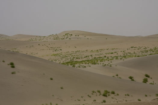 wonders of the world: TAKLAMAKAN DESERT