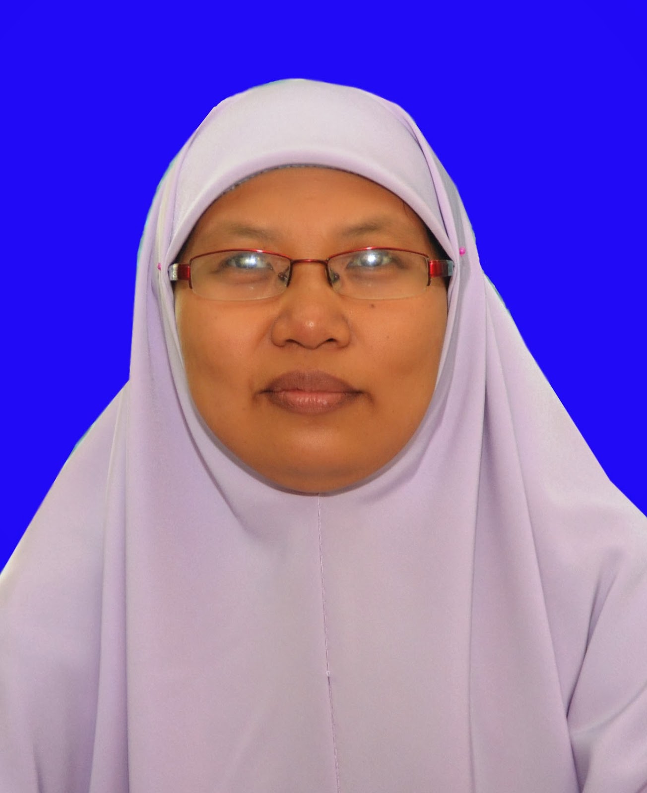 PUSAT SUMBER SEKOLAH: AJK PSS