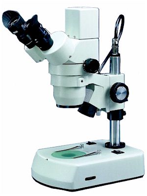 BIOLOGY: MICROSCOPE