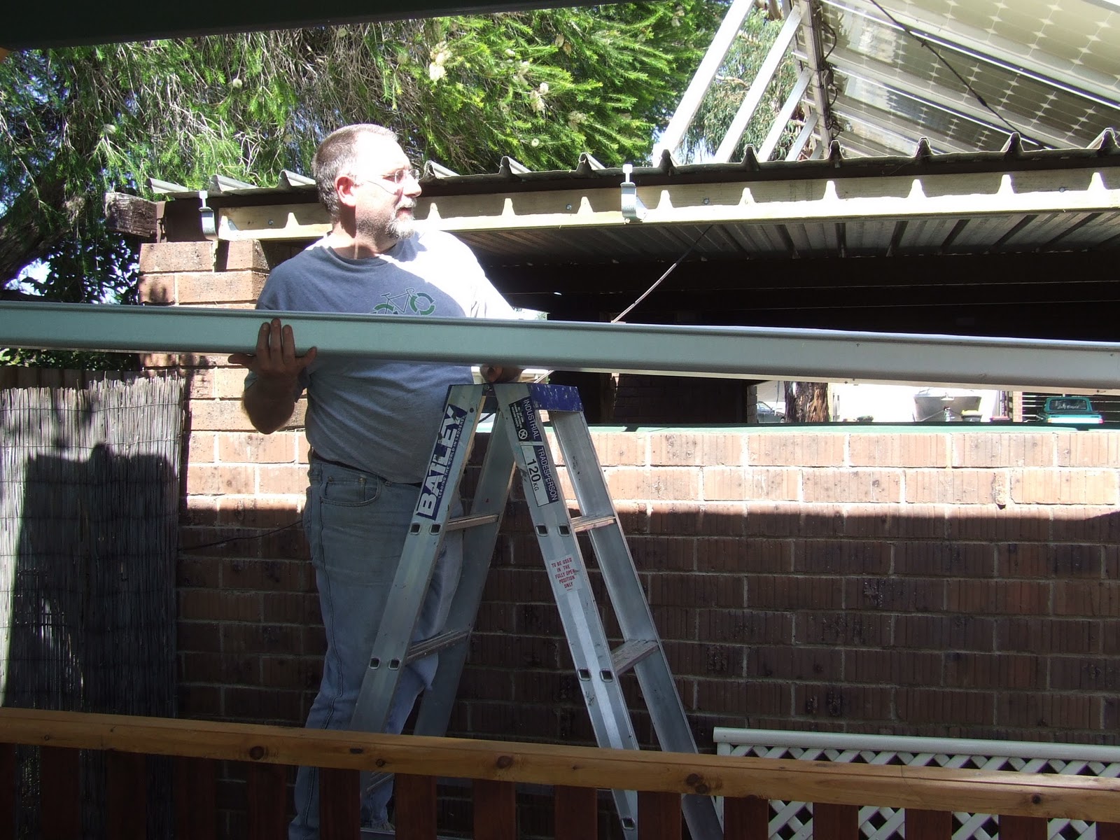 Mind In The Gutter - The Greening of Gavin