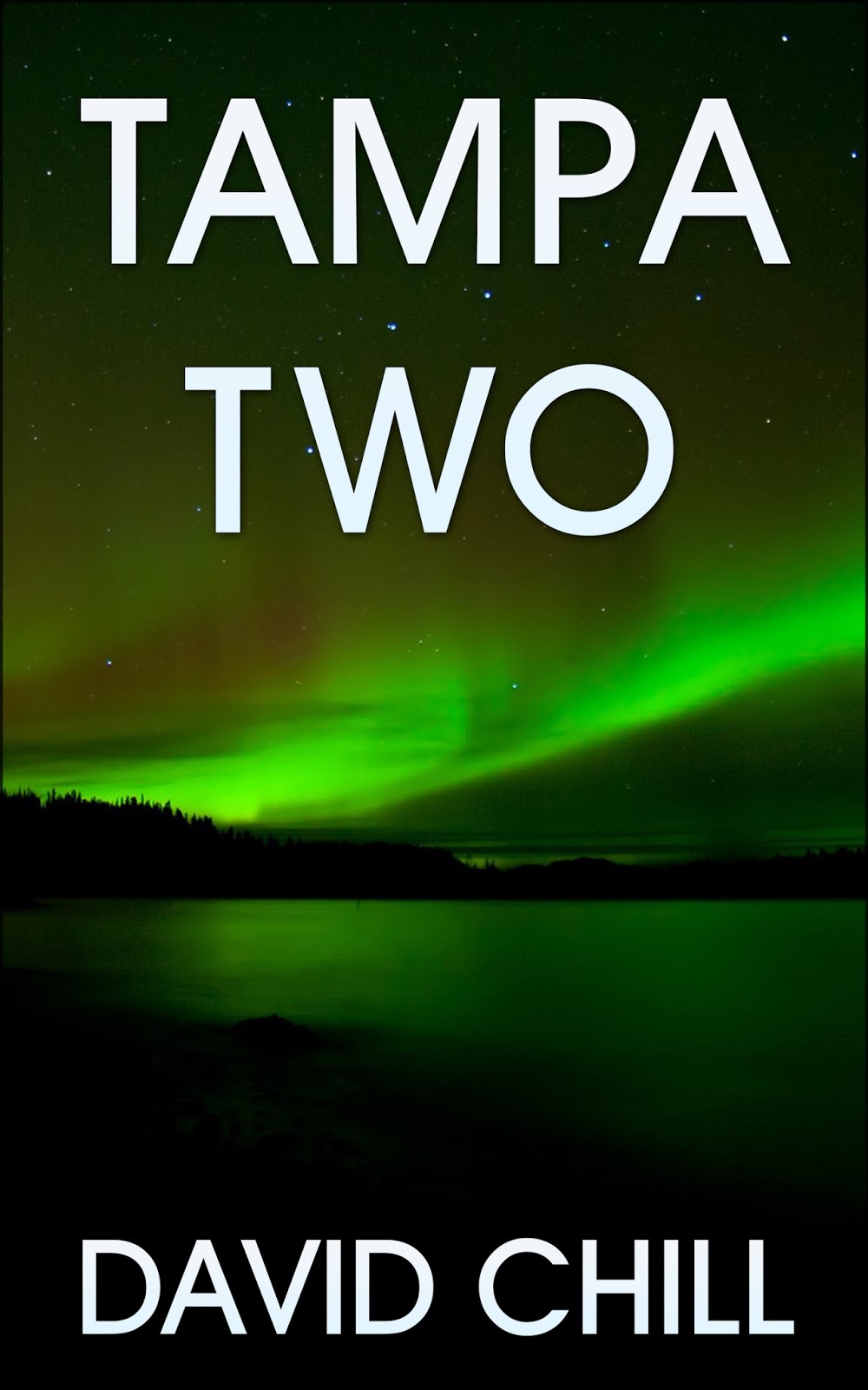 Tampa Two (Burnside, Book 8) by David Chill