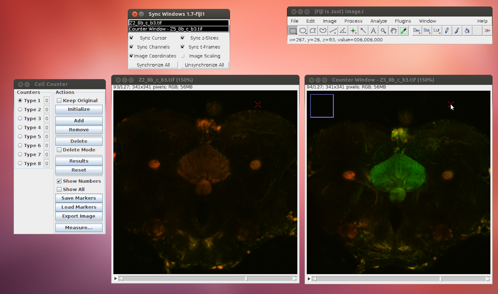 Useful Information Using Imagej To Count Cell Bodies In Photoactivatable Gfp Experiment