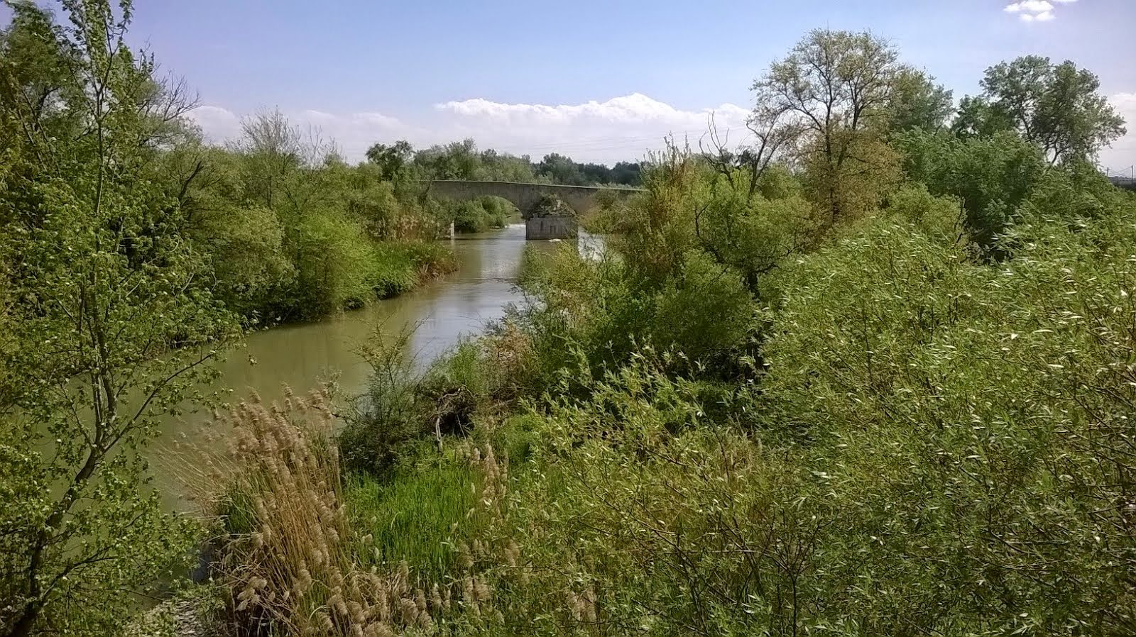 little step by step: Bohemond, Prince of Antioch and hero of the first ...