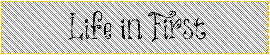 Life in First: Bears, Bears, Bears