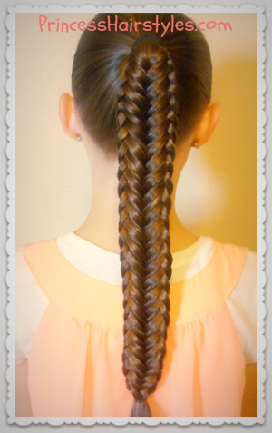 Fishtail Braid Tutorial Step By Step