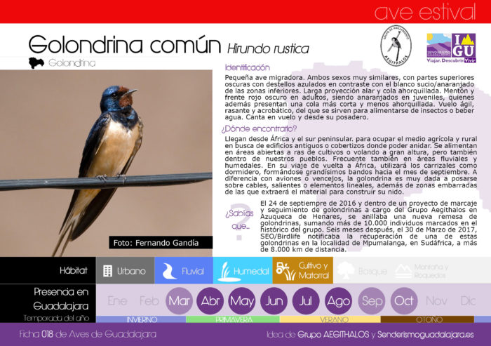 Consejos para realizar una ficha temática ~ EnJoy-Recursos de Tutoría