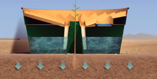 o2 Western Australia: Grow trees in the desert with the Waterboxx