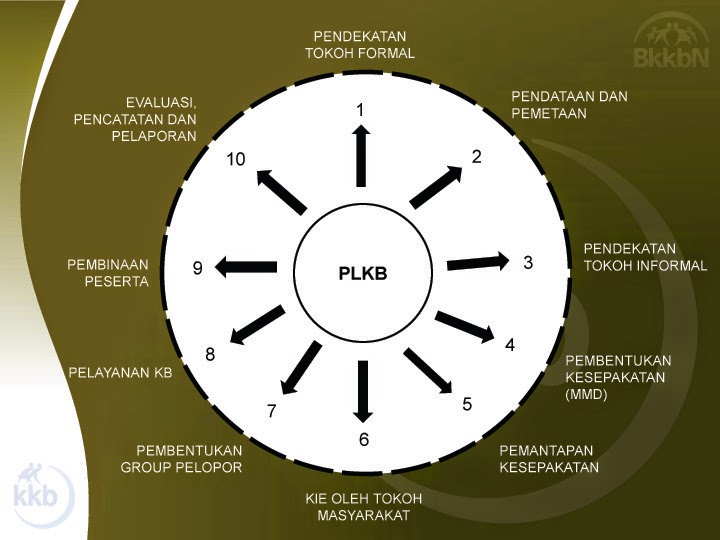 10 Langkah kerja PLKB/PKB & TPD ~ 2 Anak Cukup