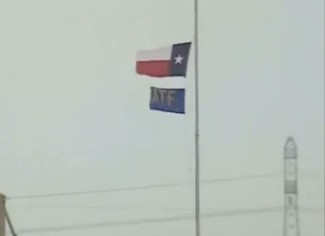 Derpetology: An Anti-Authoritarian Collage