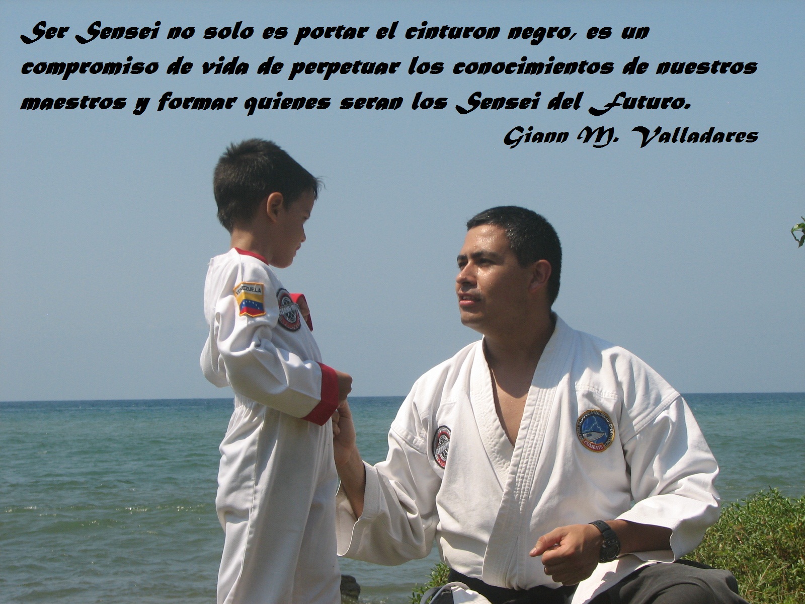 GIANN Martial Arts and Fitness: SIGNIFICADO DE LA PALABRA "SENSEI"