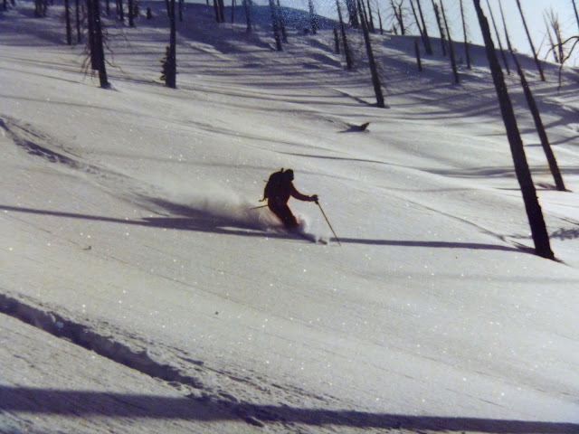 Cold Thistle: Tech Bindings? AKA "Dynafit bindings?"