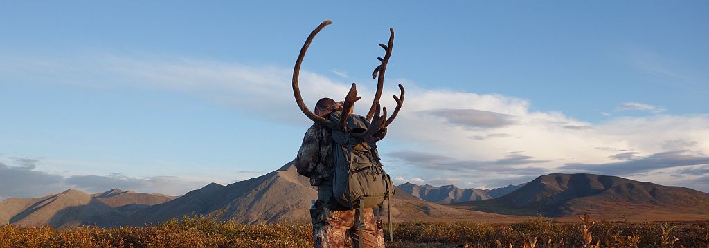 American Grouch: North Slope Brooks Range Caribou Part IV