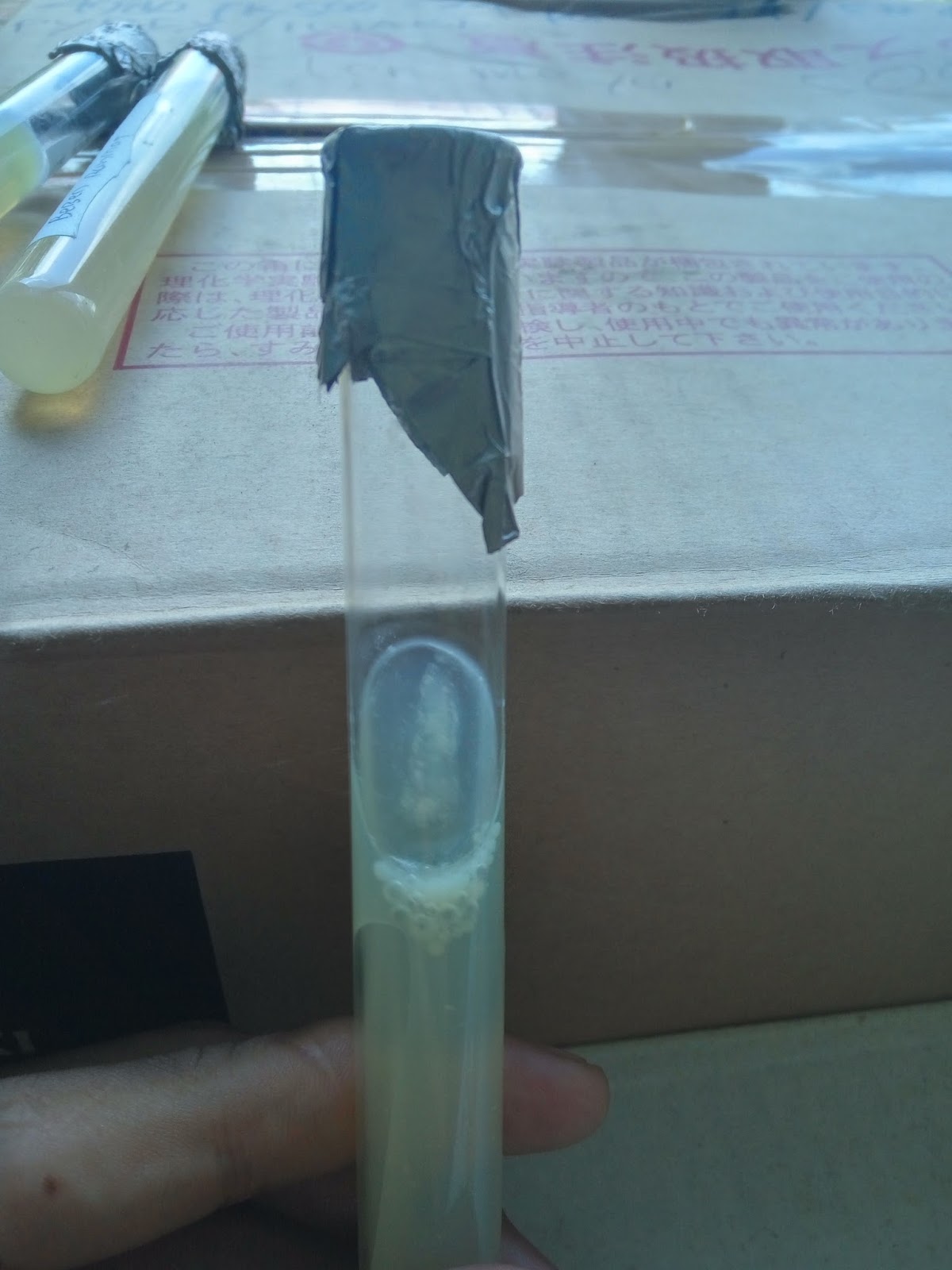 Mahasiswa Cerdas: Laporan Praktikum Mikrobiologi