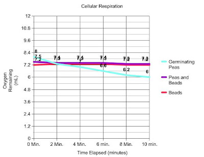 Biology 2011: Cellular Respiration lab
