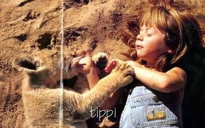 Café.Com: Espetacular! Tippi