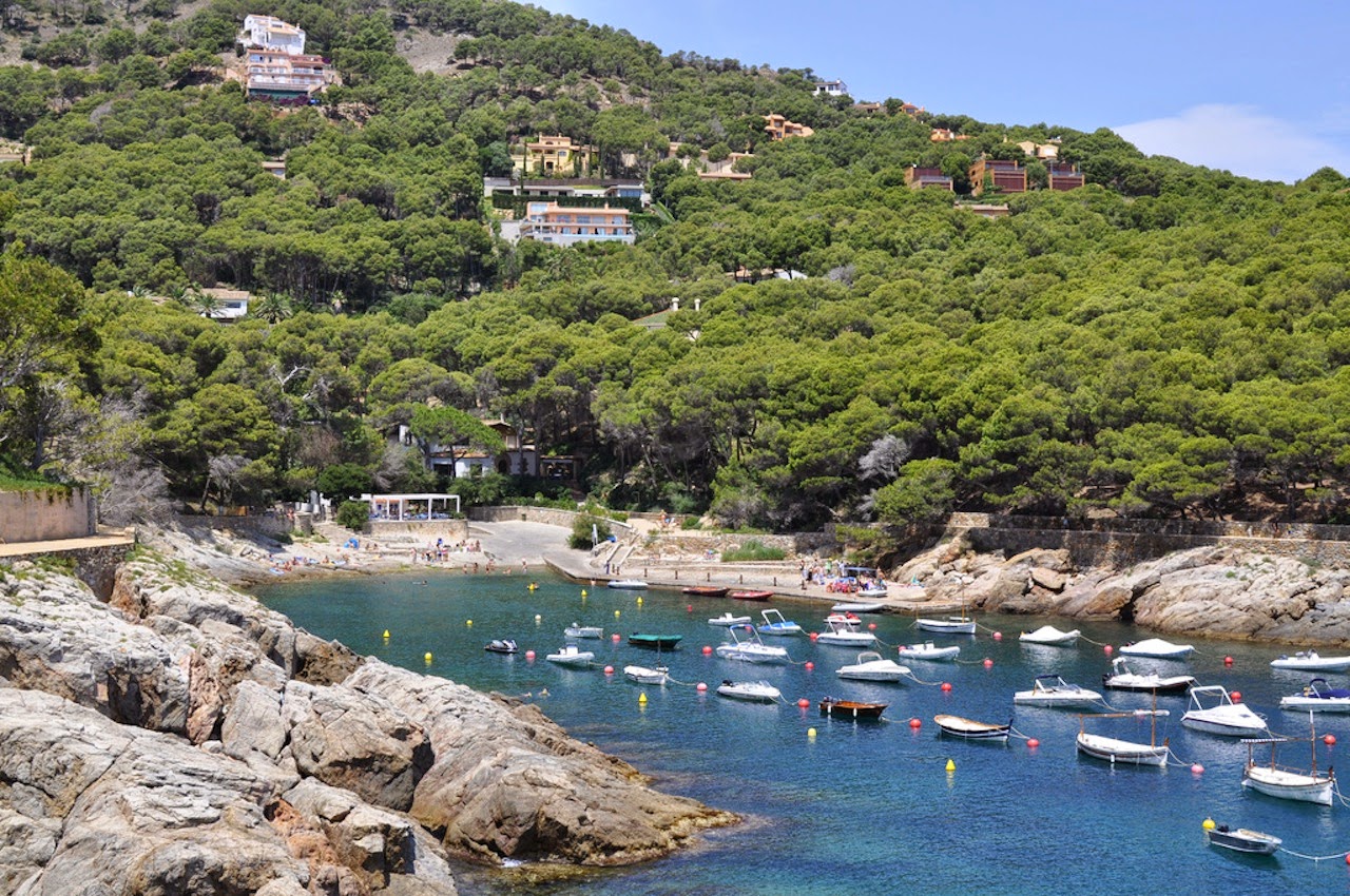 POESIA I EXCURSIONISME: Tamariu, Cala Pedrosa ( La Musclera ), Aigua ...