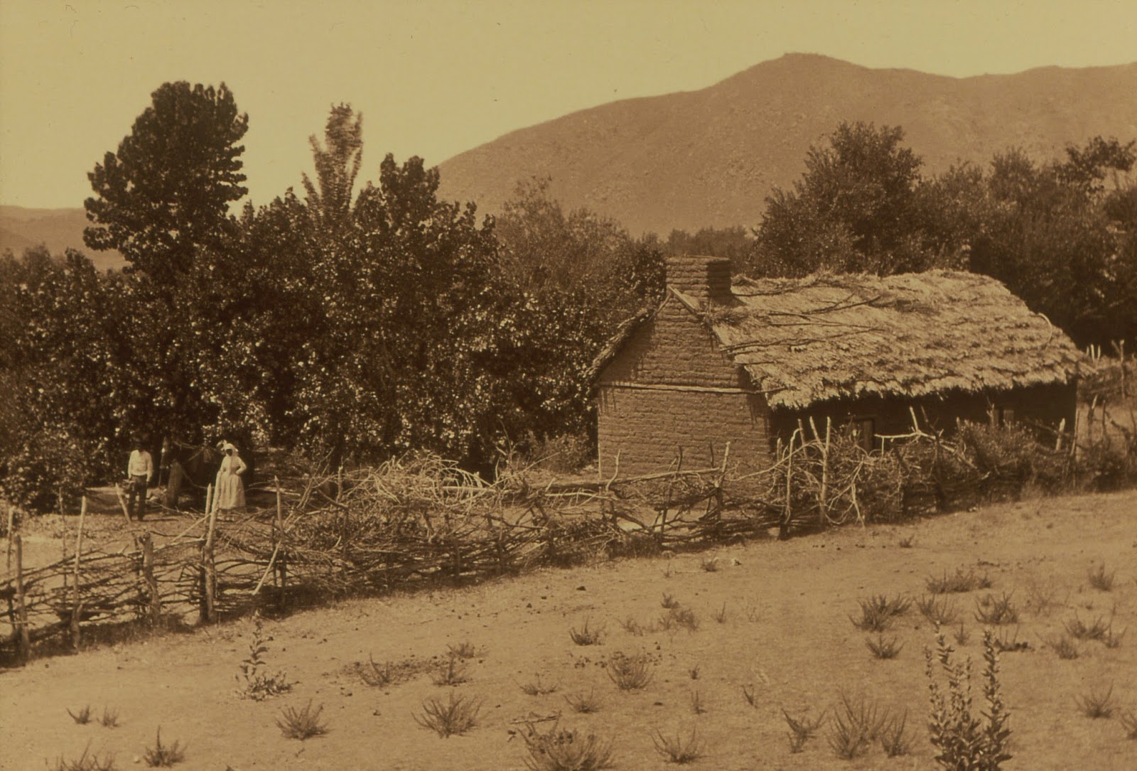 Tejon Ranch Conservancy Blog: Thinking Historically