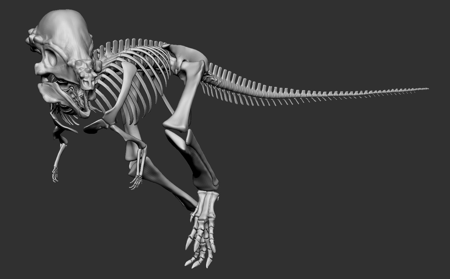 Raul Ramos Paleo Illustration: Pachycephalosaurus Skeleton