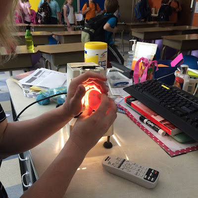 Miss Stetson's Classroom: Hatching Chickens in the Classroom
