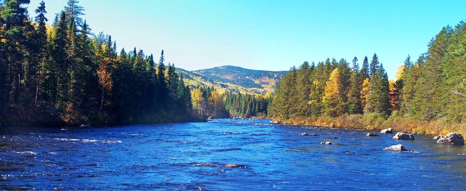 Our Canada Dream Diary: NBPNP