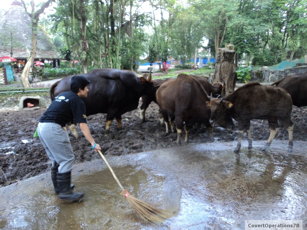 Ibi Benefici Locus Est: Helping Hands at the National Zoo