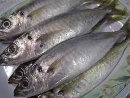 IzzamayDaniqisQasehku: OH! IKAN. OH! AYAM OH! AMAZING RACE.???