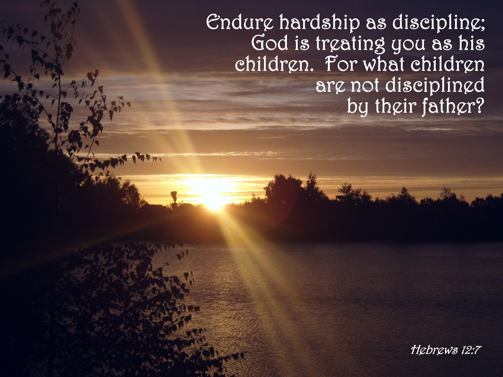 Spread the Word by KJ: Hebrews 12: How Tough Is It Right Now?