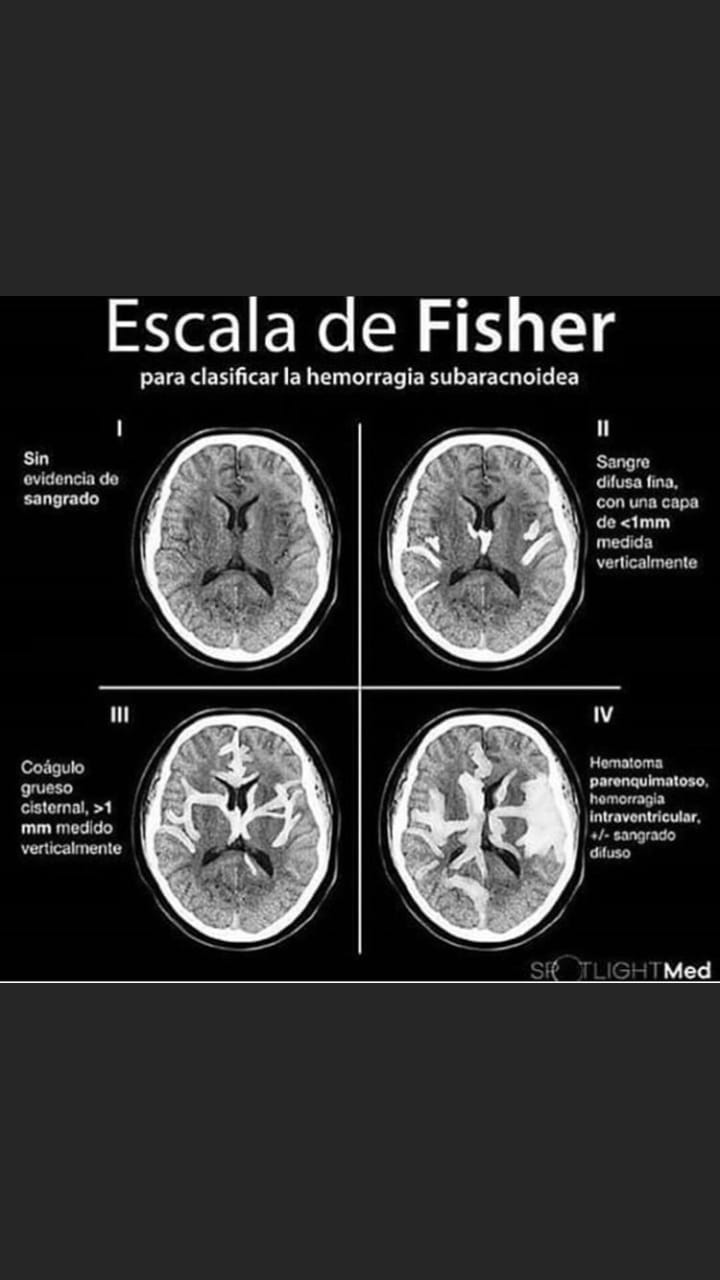 CEREBRA LA VIDA: 2018