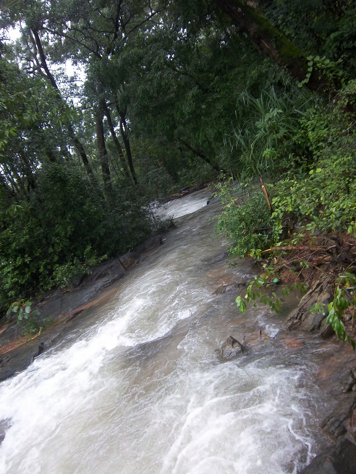 Namma Hebri: Hebri | Place where Nature Plays