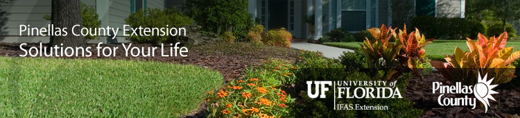 What's New at Oldsmar Library: Pinellas County Extension Programs