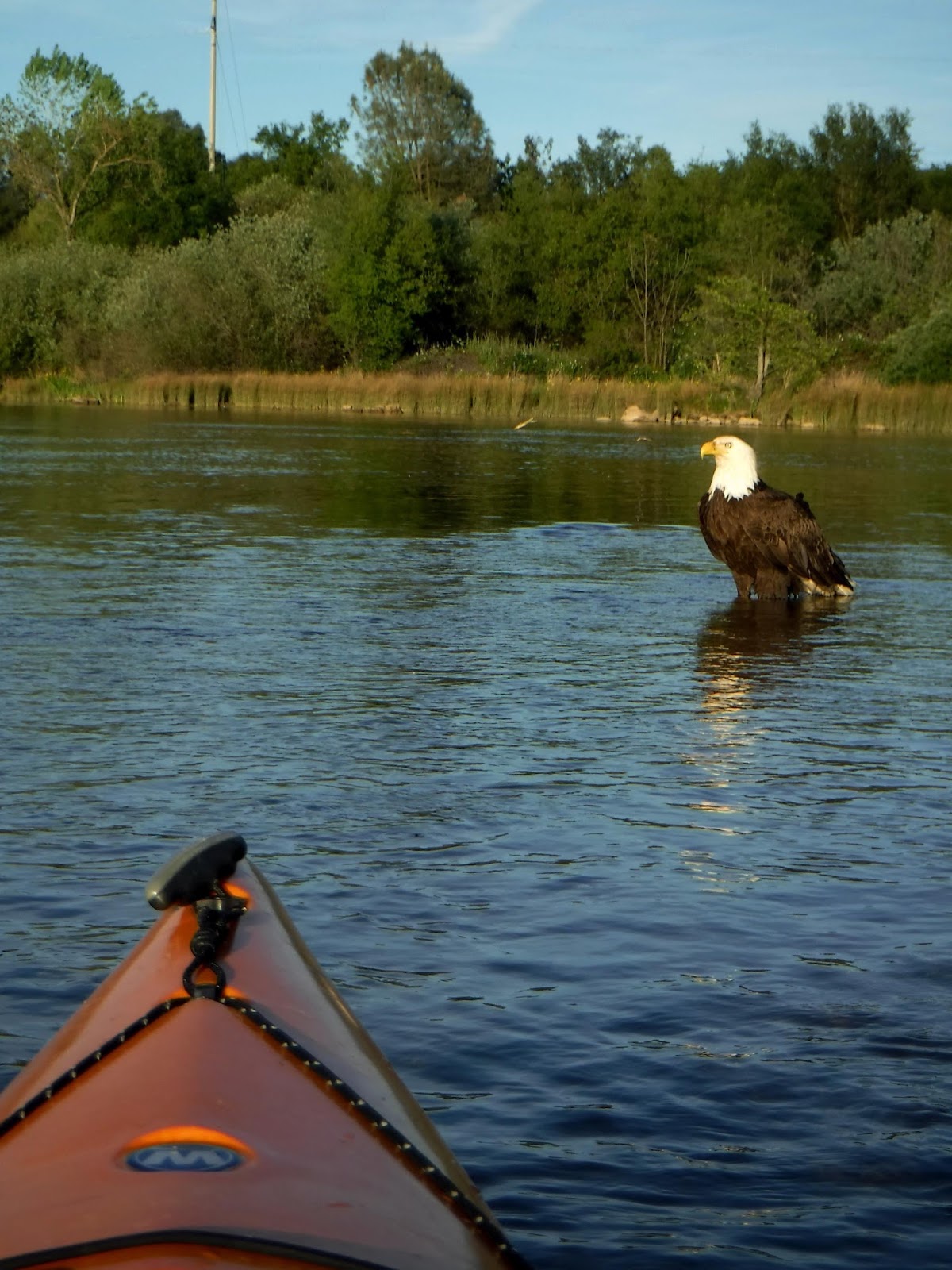 Outside Adventure to the Max: EAGLE OF THE LAKE