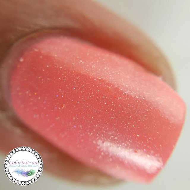 DAINTY DIGITS POLISH Rainbow Gelato collection...plus a BONUS holo ...