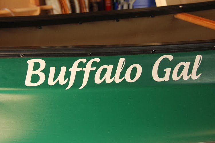 Log of Ibi: Buffalo Gal