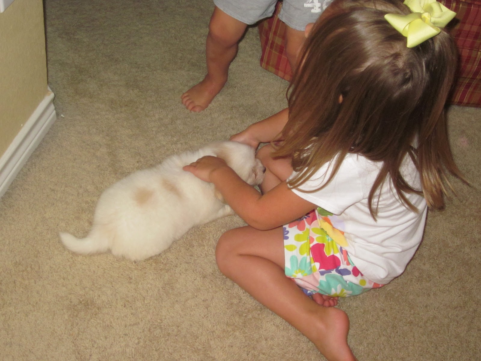 Poppy Popsicle Recipe | Mix and Match Mama