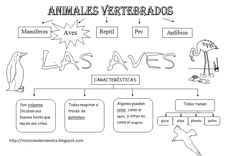RECURSOS EDUCATIVOS PRIMARIA: Características de los animales