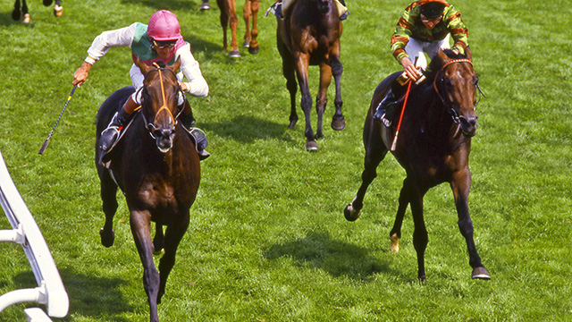 Racing Calendar: Dancing Brave
