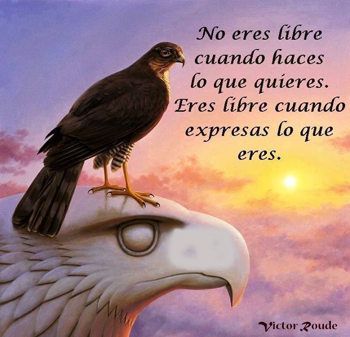 El Nuevo Ser Humano: ¿REALMENTE ERES LIBRE