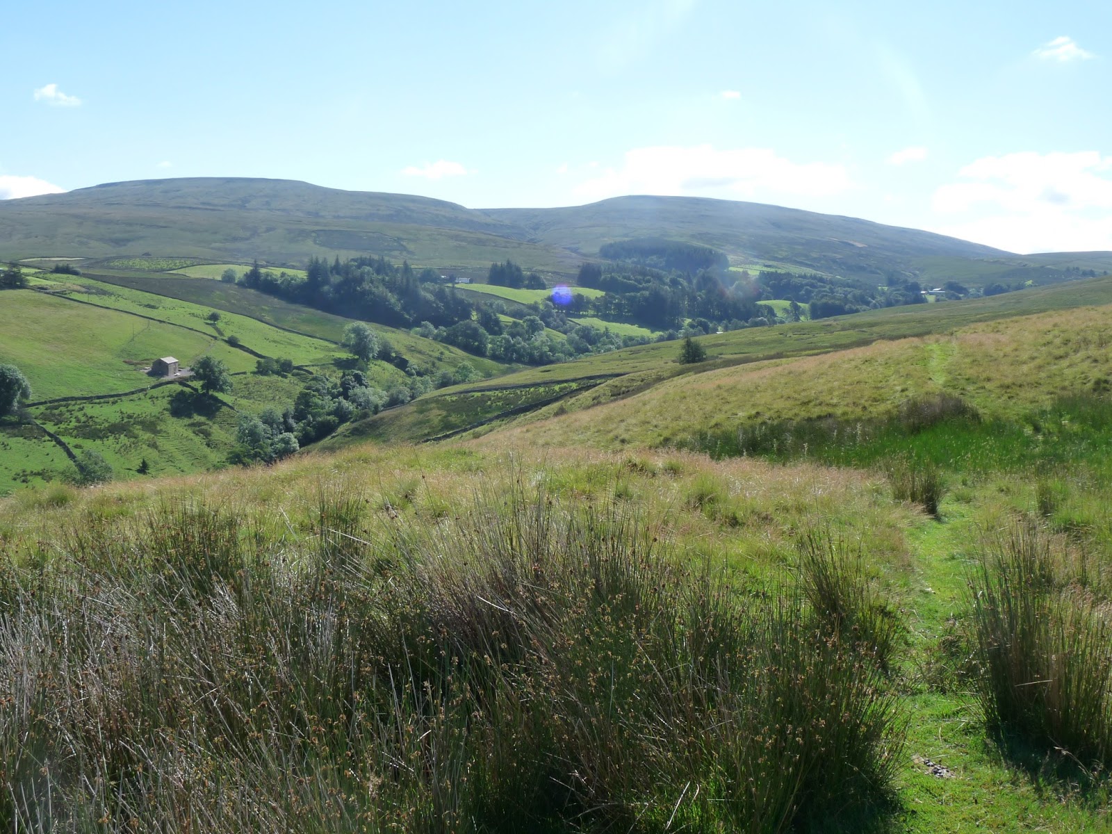 what it is, what it was, what it will be: Uldale Force Wild Swim