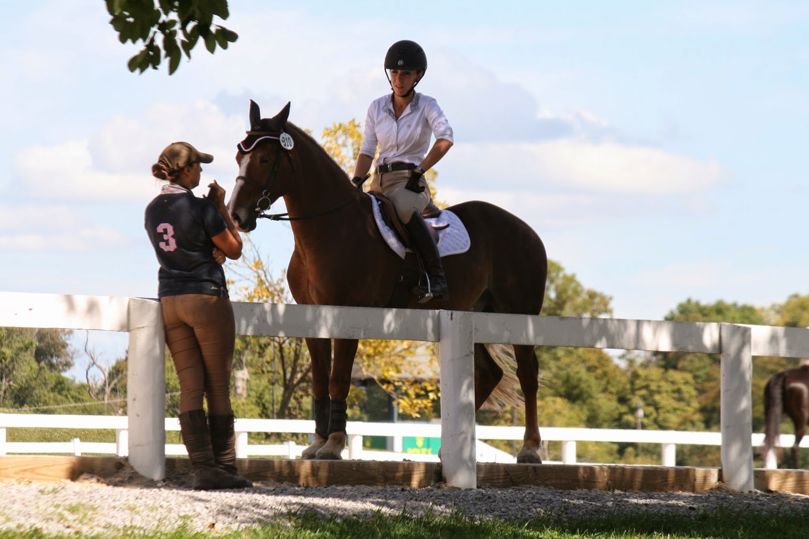Cob Jockey: Jump Start HT: Show Jumping