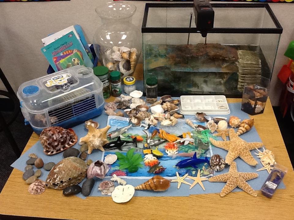 Mrs. Navarre’s Teaching Blog: Ocean Theme Ideas