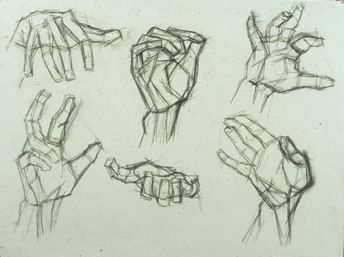 Carol Adelman Teaching: Student Work: Intro to Figure Drawing