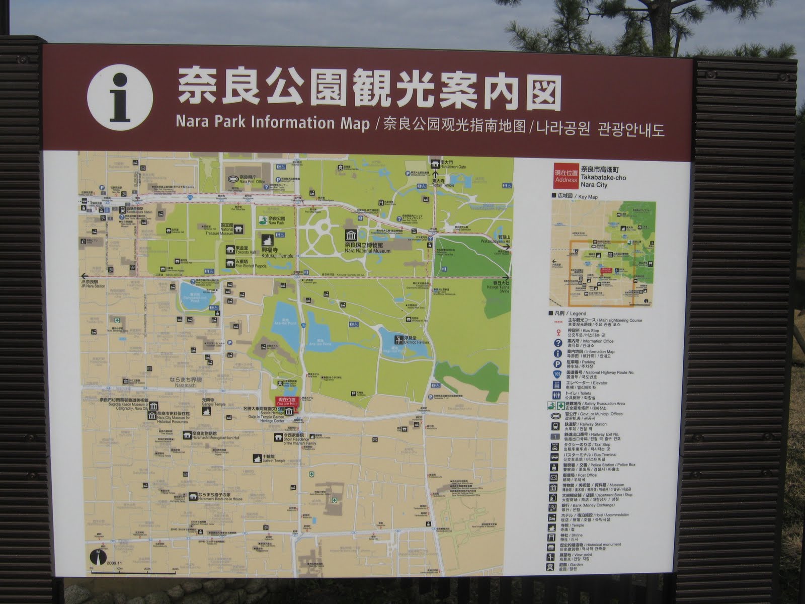 Japan: it's not just for the football: Nara Park - Monday 14th March