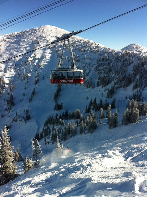 StoreYourBoard Blog: Snowbird Tips, Tricks, & Little Known Facts