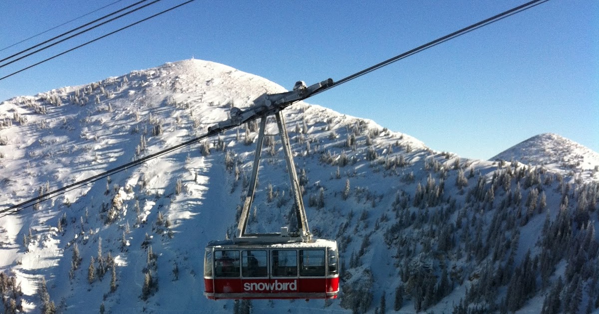 StoreYourBoard Blog: Snowbird Tips, Tricks, & Little Known Facts