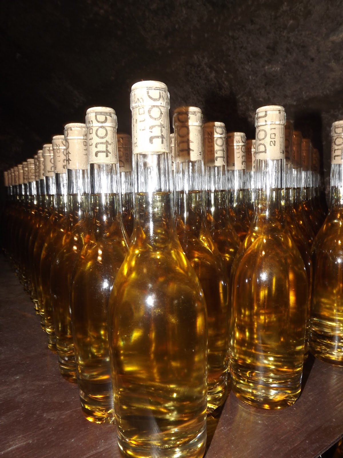 Tokaji wines are honoured for their positive effects | pertus16