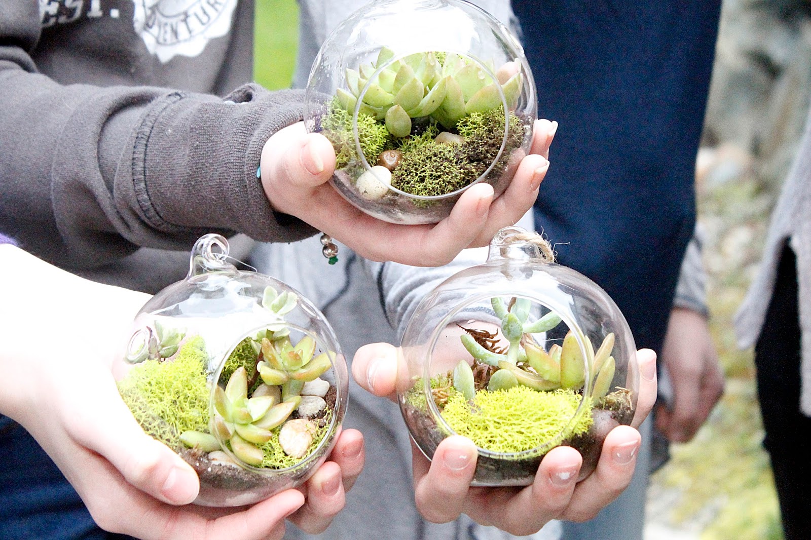 A Lovely Design: Terrarium Making Party