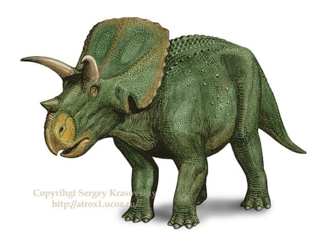 FAMILIA CERATOPSIDAE: DINOSAURIOS: FAMILIA CERATOPSIDAE